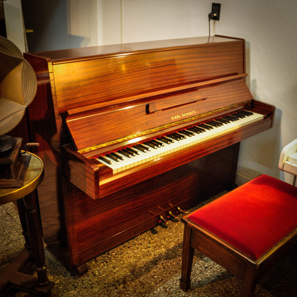 KARL SCHULTZ #2 - Casa Pianoforte